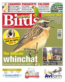 Cage & Aviary Birds Magazine Subscription UK Offer