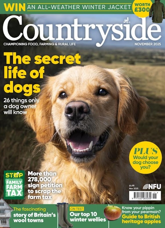 Countryside Magazine Subscription Offers | magazine.co.uk