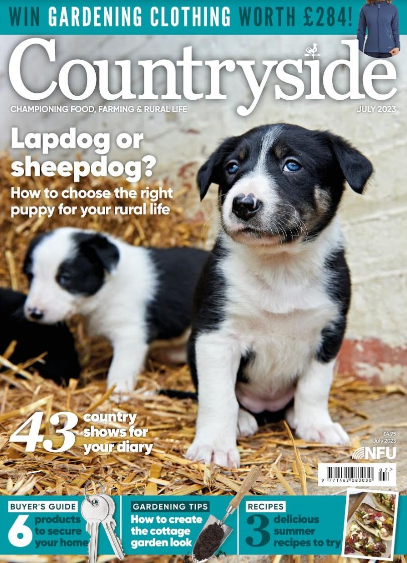 Countryside Magazine Subscription Offers | magazine.co.uk
