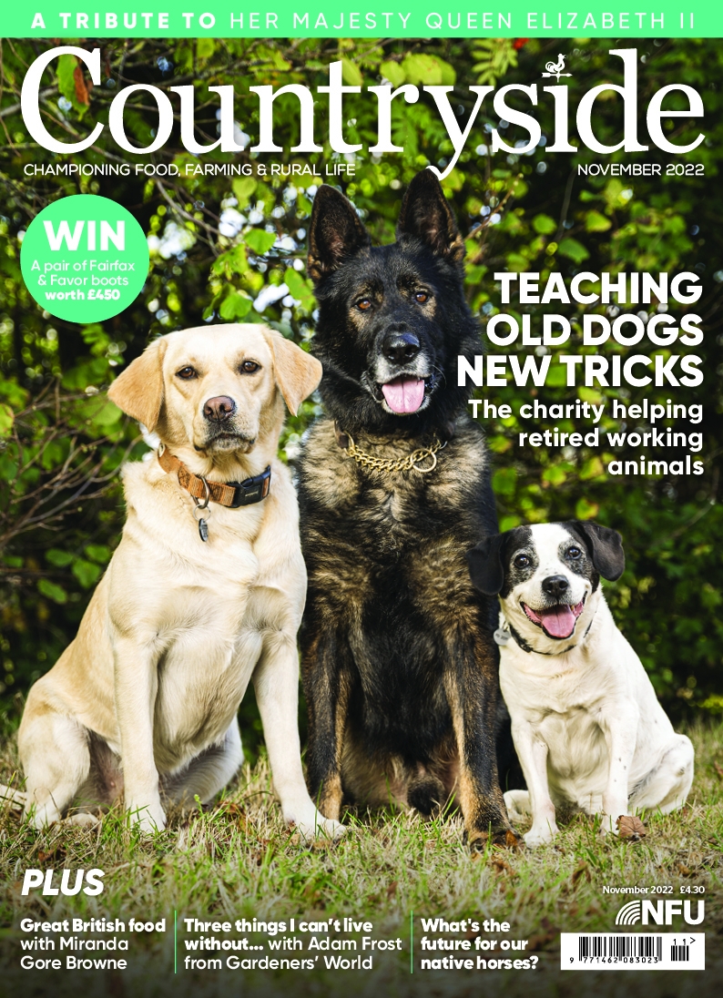 Countryside Magazine Subscription Offers | magazine.co.uk