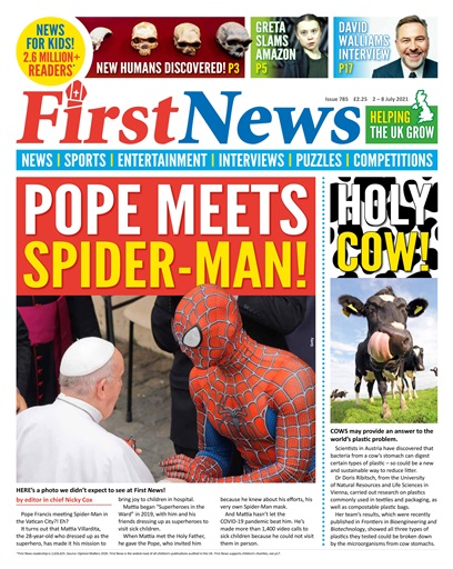 First News Newspaper Subscription UK Offer
