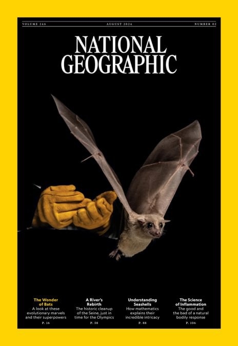 National Geographic Magazine Subscription | magazine.co.uk