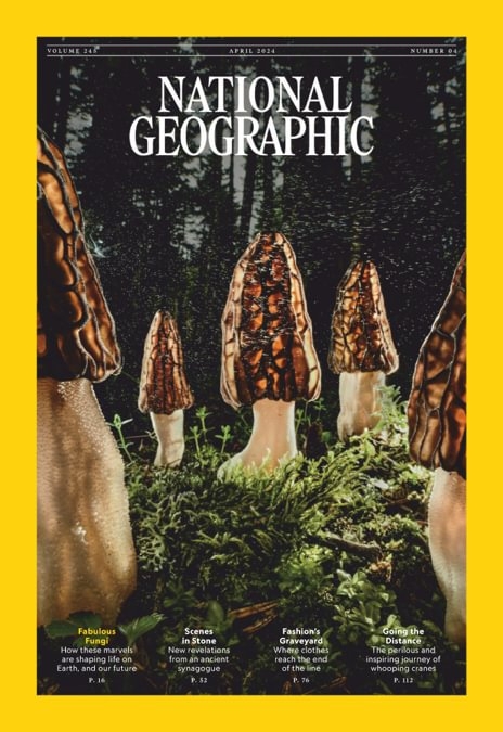 National Geographic Magazine Subscription | magazine.co.uk