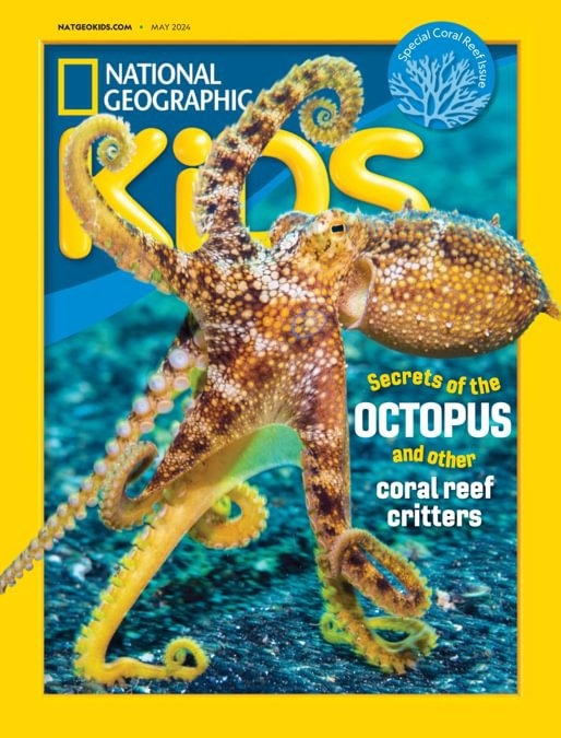 Kids & Teens Magazine Subscriptions | magazine.co.uk