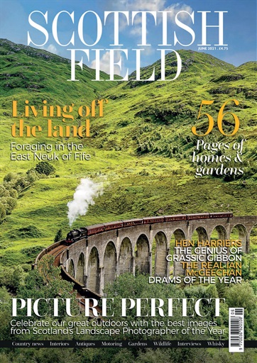 Scottish Field Magazine Subscription UK Offer