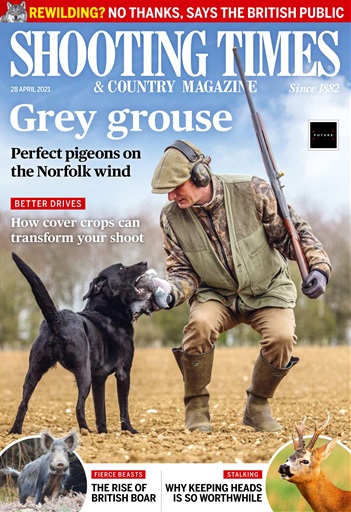 Shooting Times Magazine Subscription UK Offer