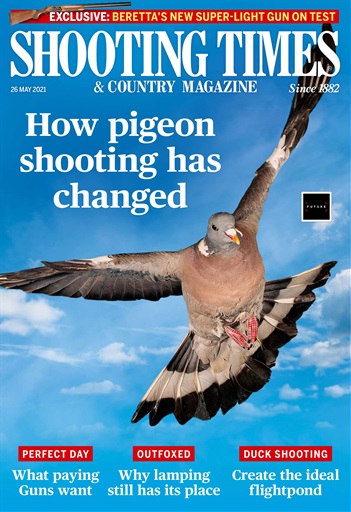 Shooting Times Magazine Subscription UK Offer