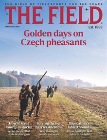 The Field Magazine Subscription UK Offer