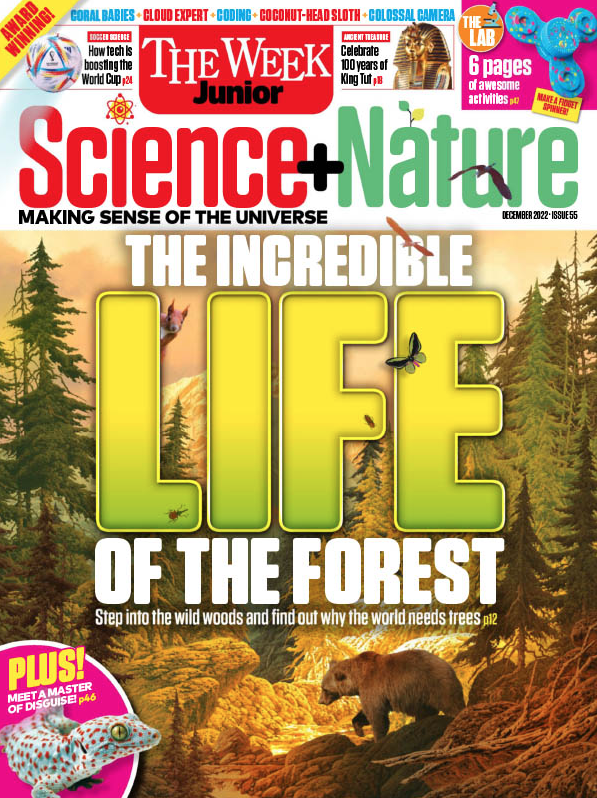 Science+Nature Magazine Subscription Offers | magazine.co.uk