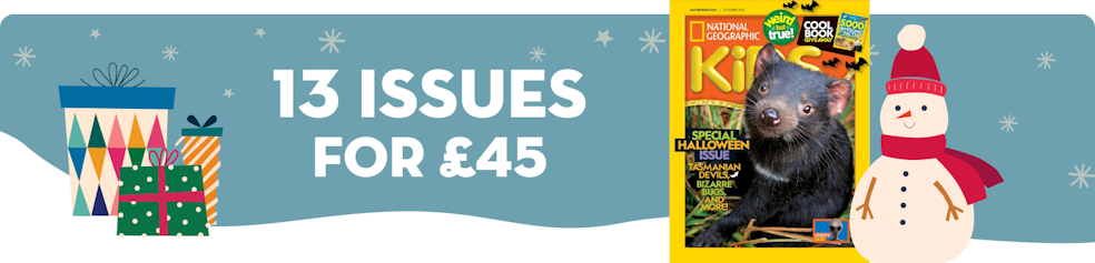 Kids Magazine Subscriptions | magazine.co.uk