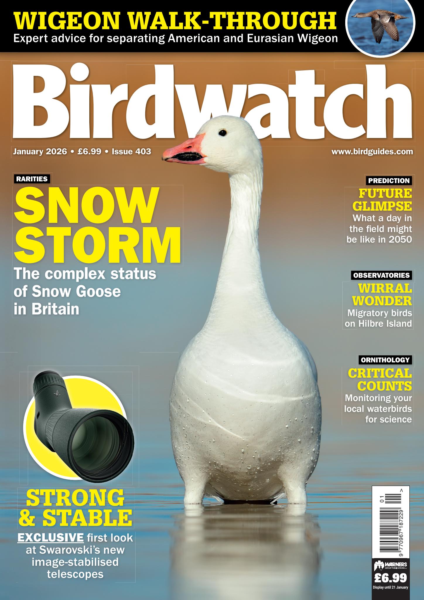 Birdwatch Magazine Subscription Offers | magazine.co.uk