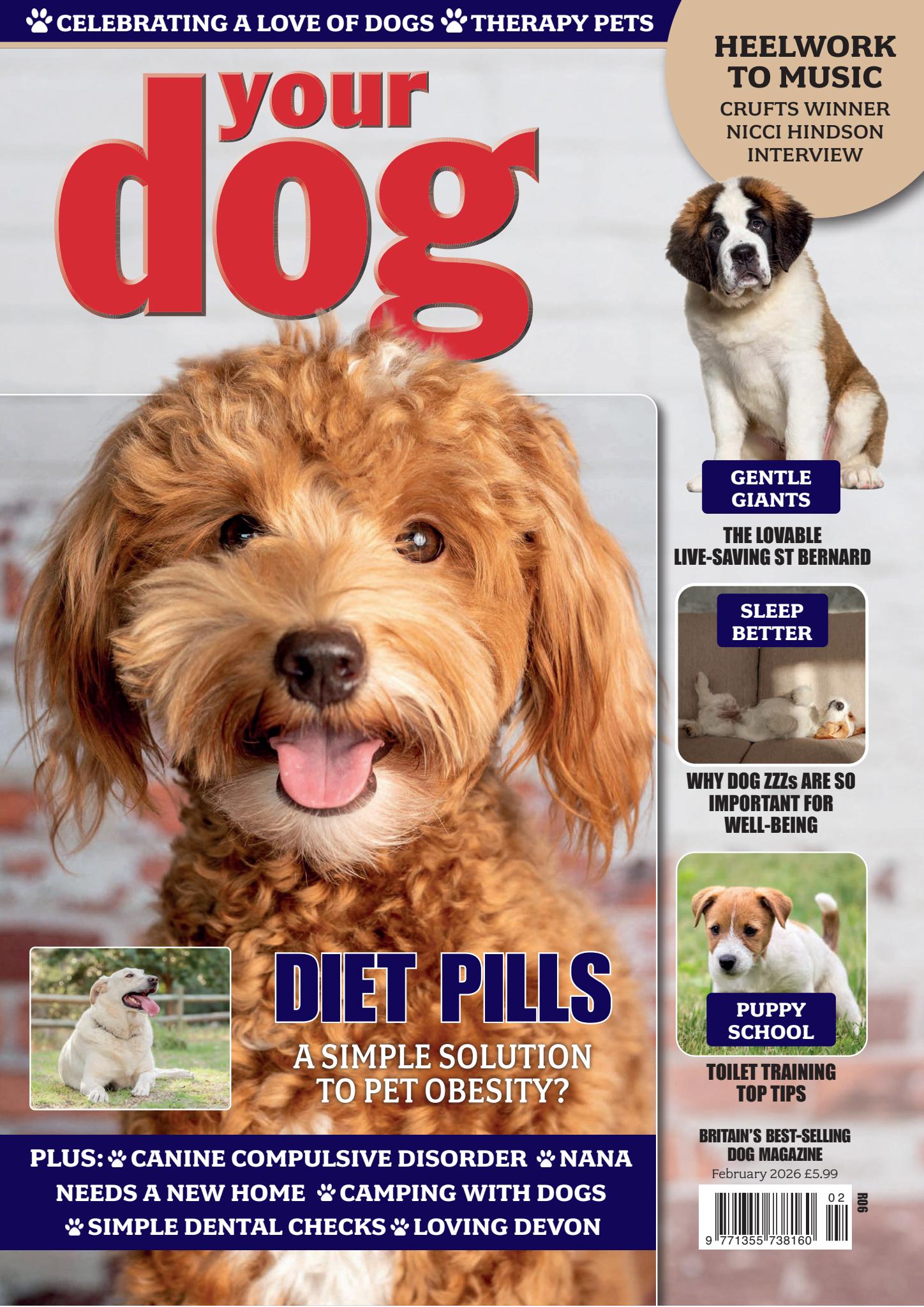 Your Dog Magazine Subscription Offers | magazine.co.uk