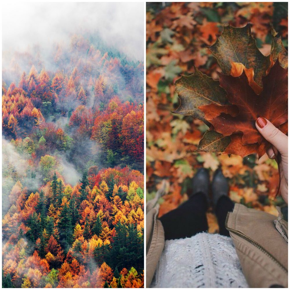 7 Awesome Autumn Ideas | magazine.co.uk