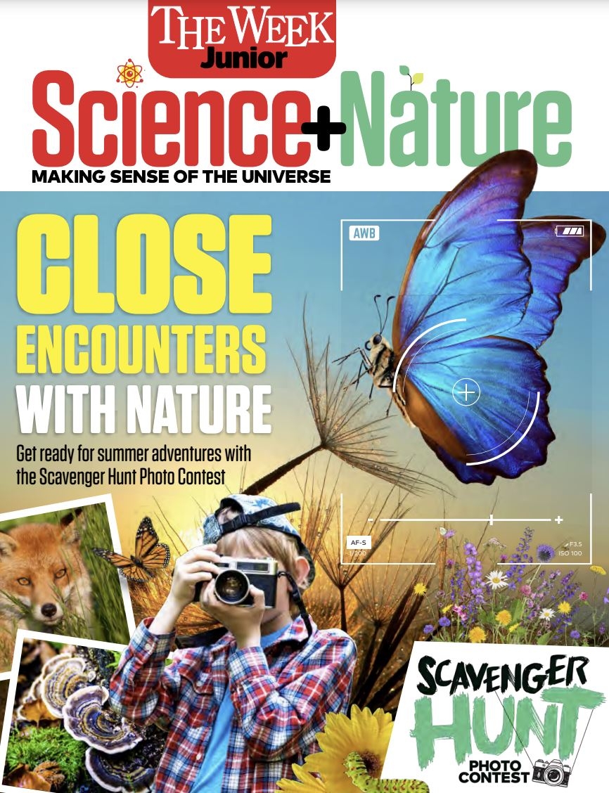 Science+Nature Magazine Subscription Offers | magazine.co.uk